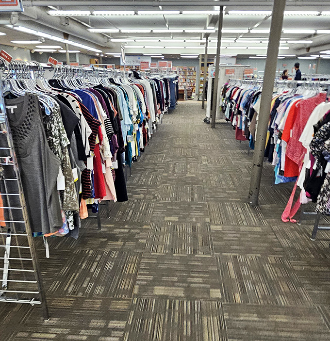 The clothing aisles stretch like runways of possibility. Each rack holds someone's past fashion choices waiting to become your next signature look.