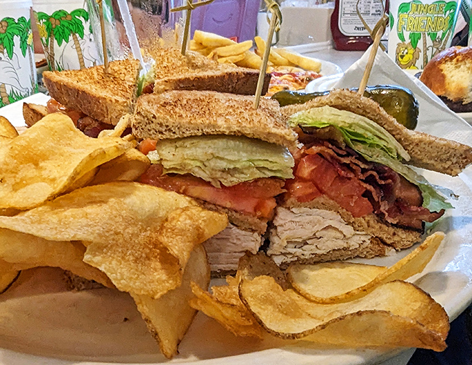 The club sandwich &ndash; architecture you can eat. Layers of turkey, bacon, and fresh vegetables create the skyscraper of sandwiches, with chips as the foundation.