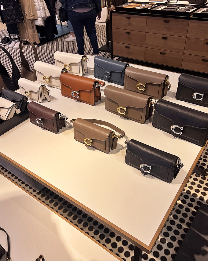Coach bags lined up like contestants in a beauty pageant, each one whispering, "Take me home, I'm 60% off retail."