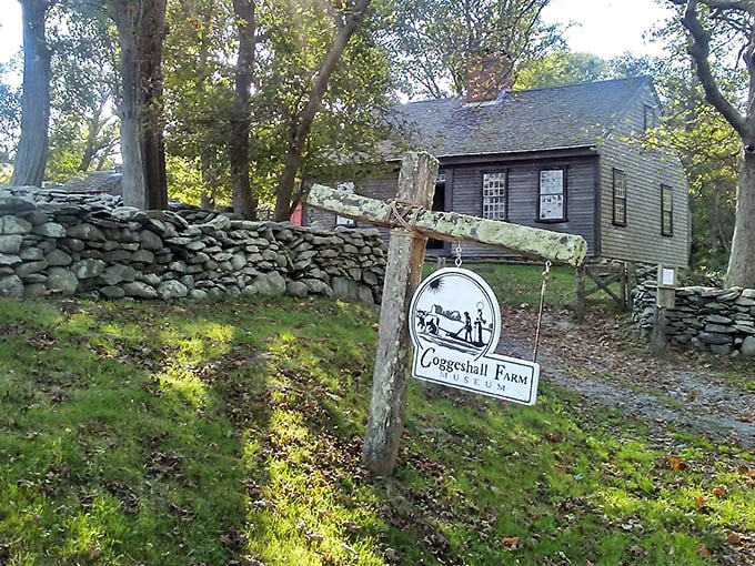 Coggeshall Farm Museum's rustic charm transports visitors back to the 1700s, where history isn't behind glass &ndash; it's alive in every weathered board.