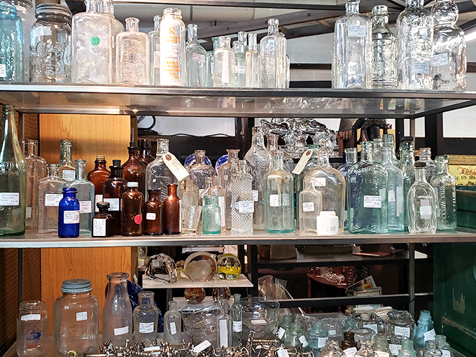 The bottle collection gleams like a liquid rainbow. Each glass vessel once held someone's tonic, remedy, or perhaps something a bit stronger.