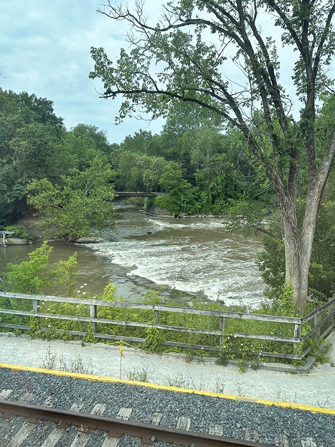 The Cuyahoga River, once infamous for catching fire, now stars in its own comeback story. Nature's redemption arc flows right outside your window.