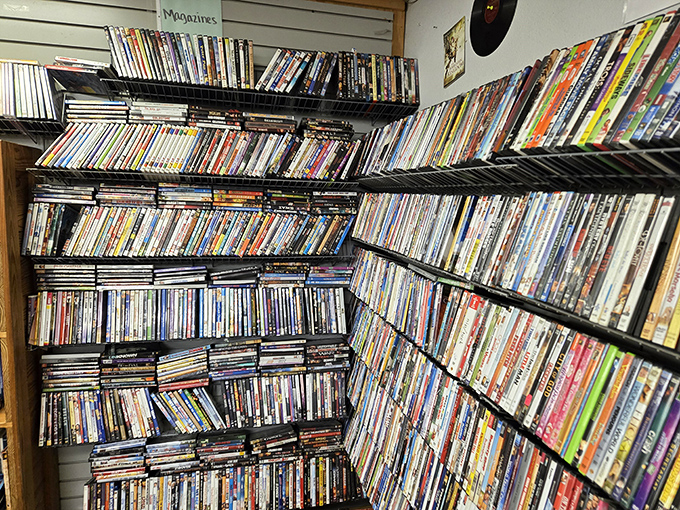 The DVD wall&mdash;a time capsule of entertainment history where forgotten blockbusters and cult classics sit shoulder to shoulder, patiently awaiting rediscovery.