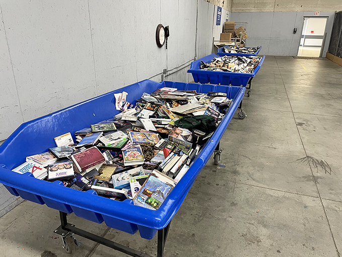 Literary gold mines await in these blue bins&mdash;bestsellers, forgotten classics, and that cookbook you didn't know you needed.