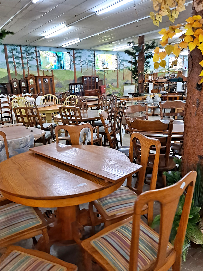 Dining sets galore, where every table tells a story. Find the perfect gathering spot for your family without the wallet-emptying experience of furniture showrooms.