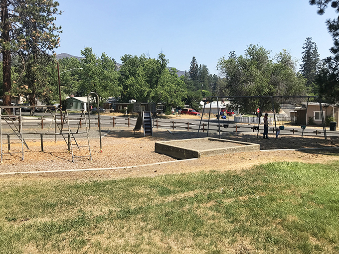 Discovery Park's playground equipment awaits young adventurers. Where kids can burn energy without parents burning through their savings accounts.