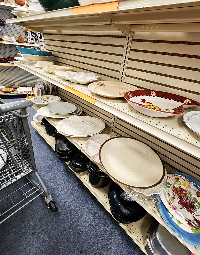 Dish department dreams come true with everything from everyday plates to special occasion serving pieces. Mix-and-match paradise!
