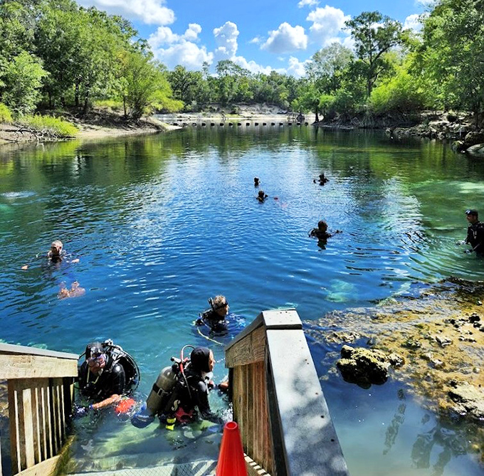 Scuba divers exploring crystal waters that would make Caribbean resorts jealous. Underwater social hour with better views than any hotel lobby.
