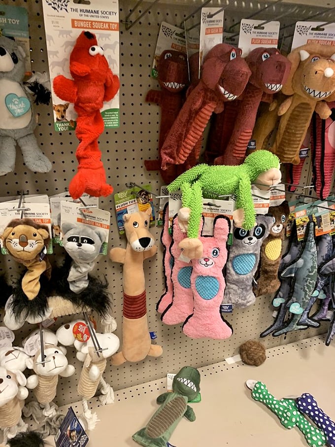 The pet toy section—where plush dinosaurs and fuzzy bunnies wait patiently for dogs who couldn't care less about their previous owners.