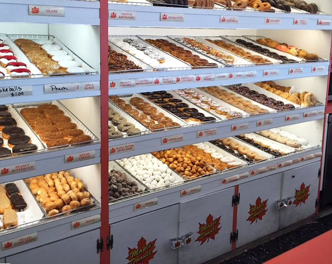 Heaven arranged in neat rows. The display case at Maple Donuts is like a museum of edible art, minus the "do not touch" signs.