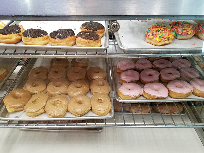 A rainbow of donuts lines the shelves&mdash;maple, chocolate, strawberry, and classic glazed&mdash;each one calling your name in a sweet whisper.