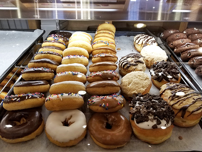 The donut display case: where diet plans go to die and breakfast dessert becomes a perfectly acceptable concept.