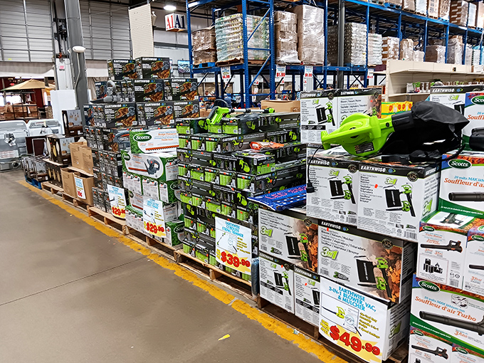 Green boxes stacked like a modern art installation, promising power tools at prices that make DIY dreams suddenly attainable. Weekend warriors, your arsenal awaits.