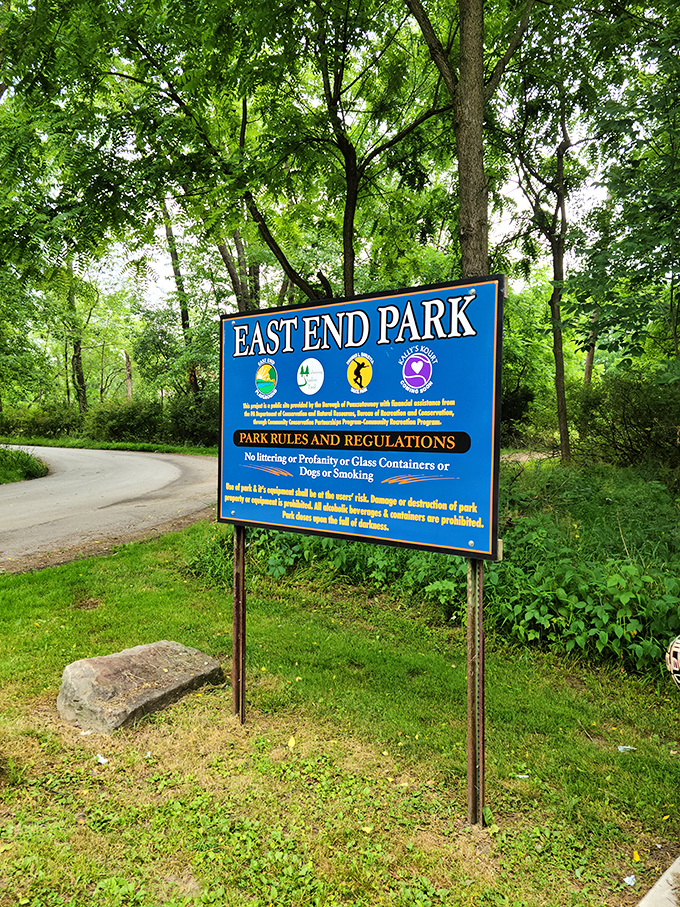 East End Park offers that increasingly rare commodity in modern America: outdoor recreation without a subscription fee or smartphone requirement.