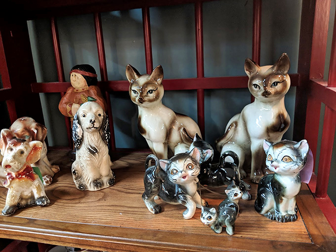 "A menagerie of vintage ceramic pets awaits adoption. These quirky figurines are the conversation starters your bookshelf desperately needs."