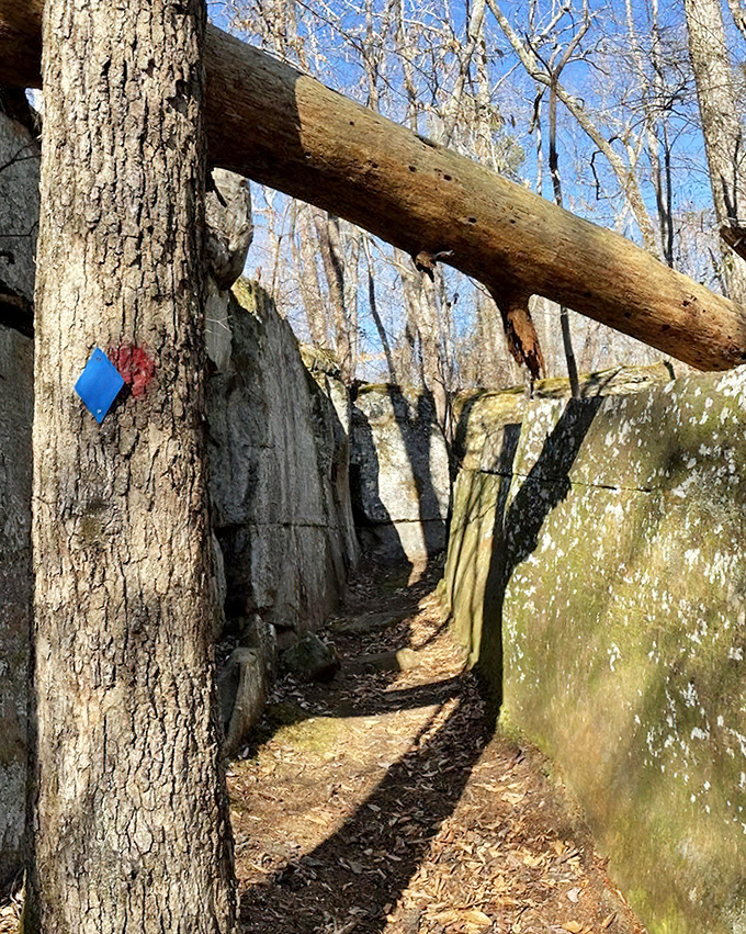 Nature's hallway: This narrow passage between massive rock formations feels like walking through Earth's own architectural masterpiece.