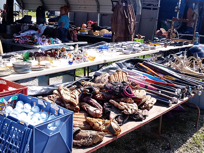 Baseball gloves lined up like they're waiting for spring training&mdash;someone's attic just became your sporting goods opportunity.