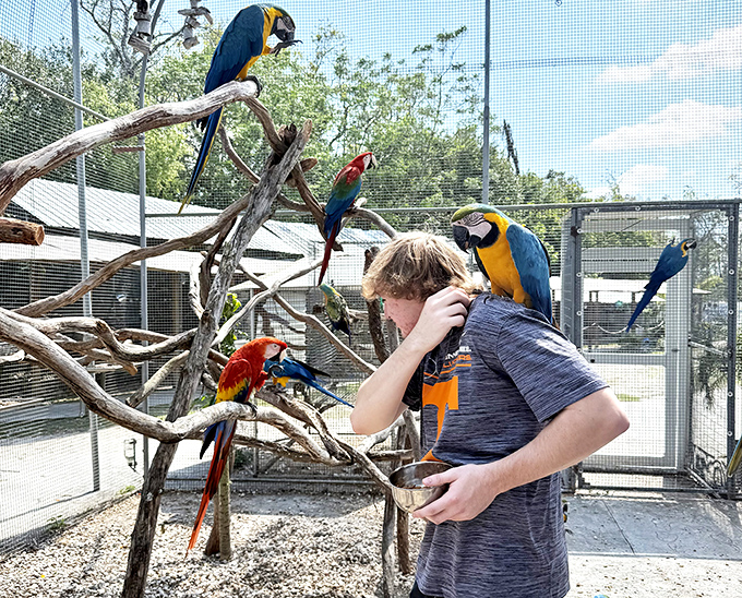 At Florida Exotic Bird Sanctuary, colorful macaws find refuge and human companions&mdash;a rainbow of feathers that would make any Instagram filter jealous.