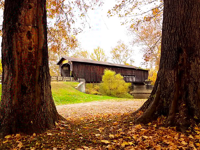 The view through ancient trees frames the bridge like a living postcard. Fallen leaves create nature's red carpet to this wooden cathedral.