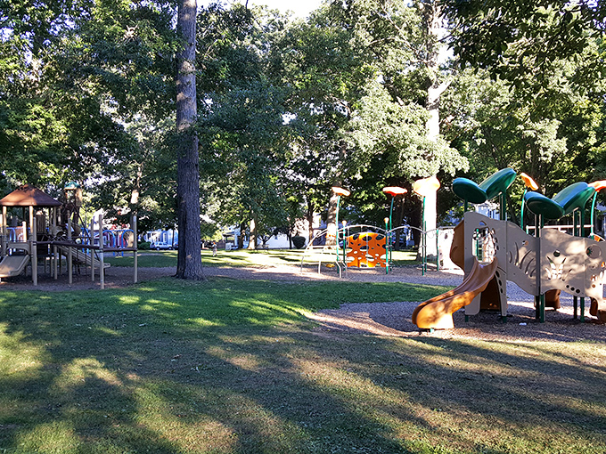 Grove Park's playground equipment proves you don't need expensive entertainment when slides and swings still deliver genuine childhood joy.