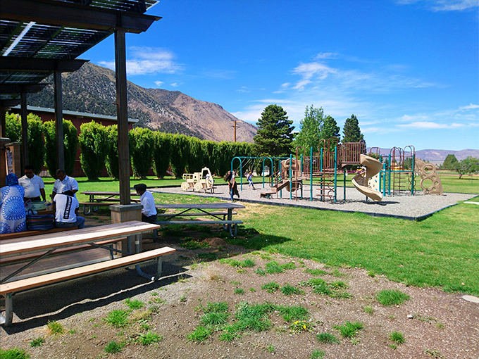 Every small town needs a good playground, and Lee Vining delivers with mountain views that make pushing kids on swings feel like a privilege.