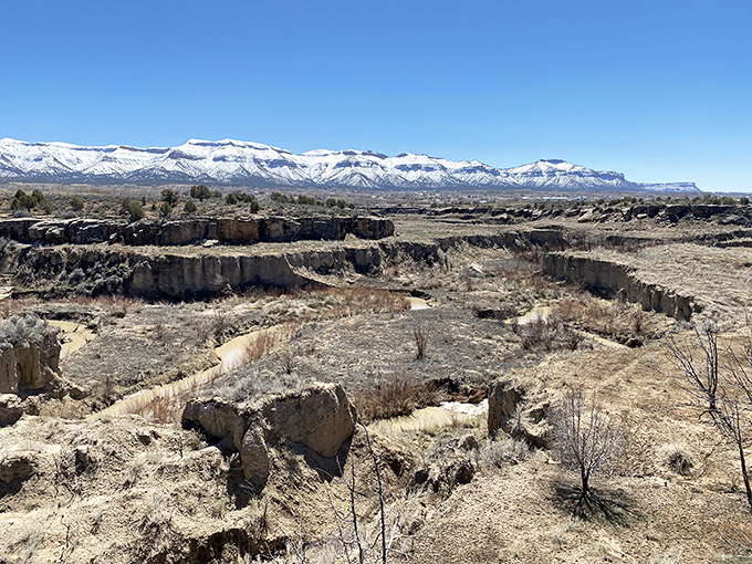 Hawkins Preserve features playgrounds where grandkids can exhaust themselves while you enjoy mountain views from convenient benches nearby.