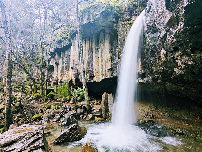 Hedge Creek Falls cascades dramatically through volcanic rock, offering visitors the rare chance to walk behind a waterfall without getting soaked. Nature's magic trick.