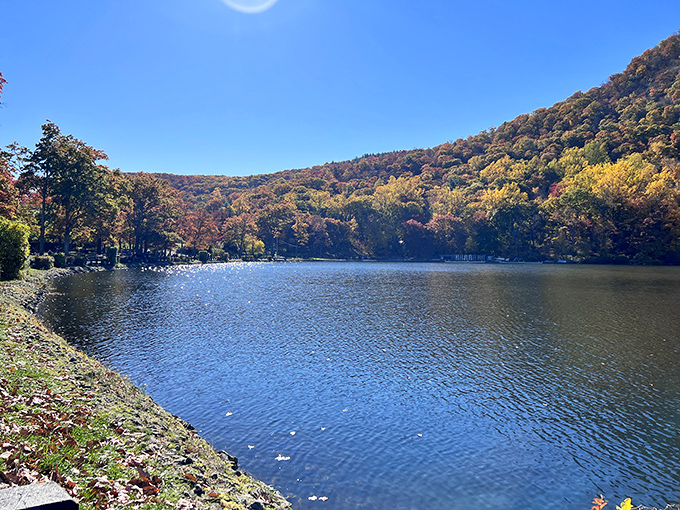 Hessian Lake in autumn glory&mdash;where the trees dress better than most New Yorkers. No fashion week required for this spectacular seasonal display.