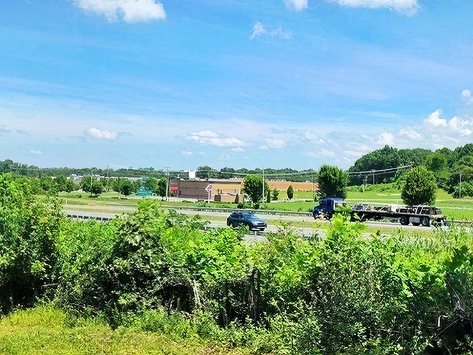 The road less traveled sometimes offers the best views &ndash; Fayetteville's surrounding countryside provides a green escape from the digital world.