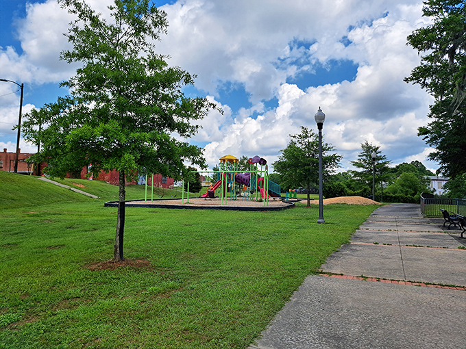 Green spaces like this park offer affordable recreation for families, where children's laughter provides the soundtrack to sunny Alabama afternoons.