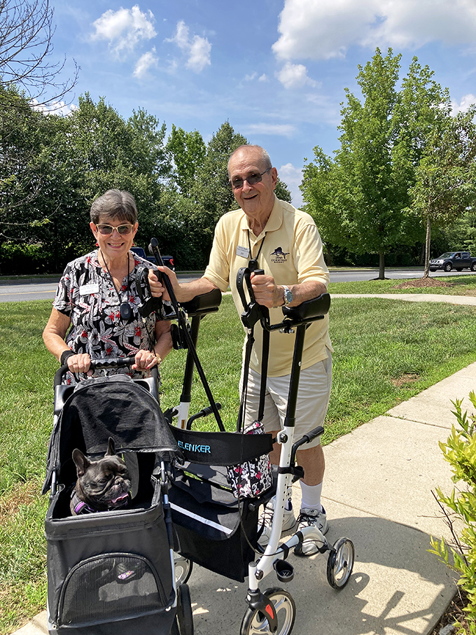 Walking partners who've graduated from the school of life, enjoying Pennsylvania's greenery with their four-legged companion riding in style.