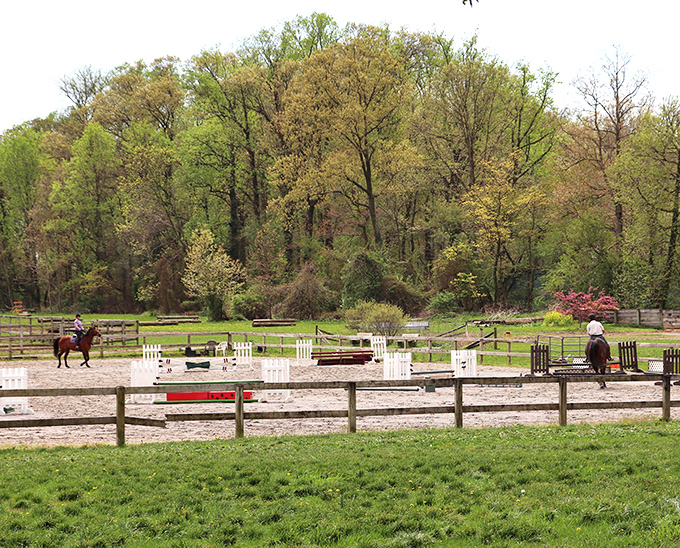 Equestrian elegance in action—where riders and horses communicate in a language more graceful than any spoken word.