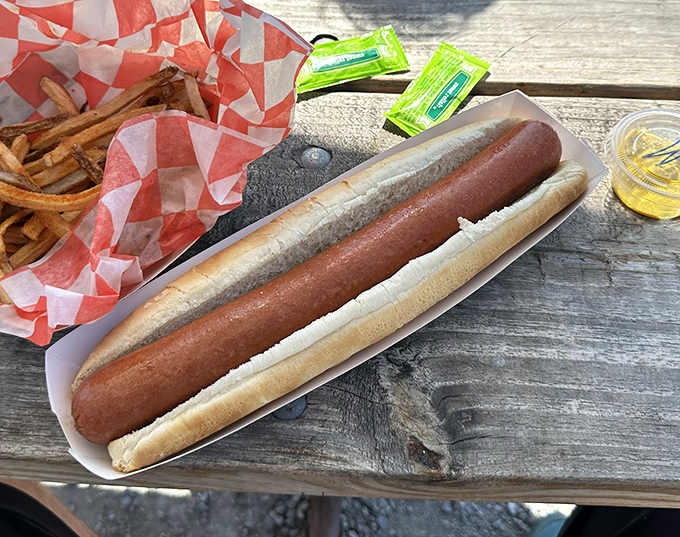 The footlong hot dog—nature's perfect food delivery system, stretched to heroic proportions and nestled in a bun that knows its supporting role.