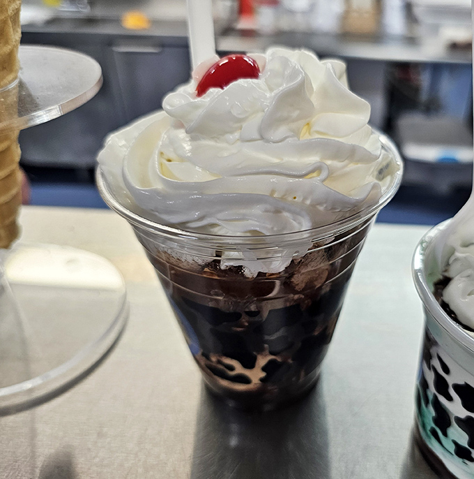 A mountain of whipped cream crowns this chocolate creation like the Alps over Switzerland &ndash; majestic, impressive, and absolutely worth the climb.