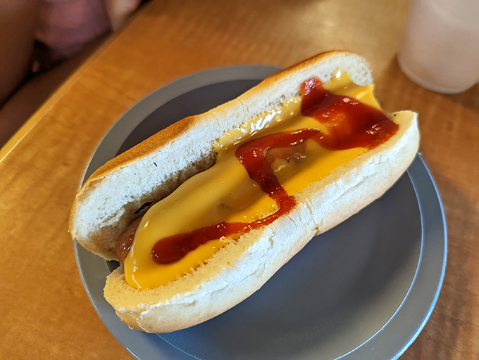 The hot dog purist's dream: cheese, ketchup, and a soft bun. Sometimes the classics become classics because they're simply unbeatable.
