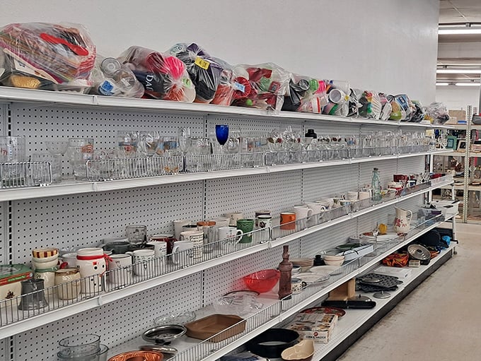 Kitchen gadgets galore! One shopper's decluttered cabinet becomes another's culinary adventure waiting to happen.