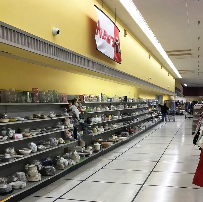 Housewares heaven! Dishes, glasses, and kitchen gadgets line up like contestants in a beauty pageant of domestic practicality.