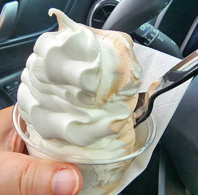 Soft serve architecture at its finest. This vanilla masterpiece defies gravity while promising to melt away your worries with each creamy bite.