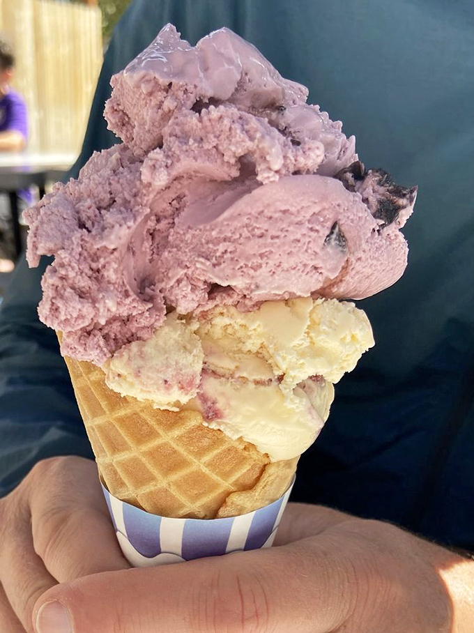 Two scoops of homemade heaven on a waffle cone. The pink and vanilla combo isn't just ice cream&mdash;it's edible nostalgia.