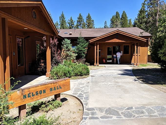 Where future Yo-Yo Mas and Georgia O'Keeffes hone their craft. Arts education with a backdrop that makes ordinary campuses look positively uninspired.