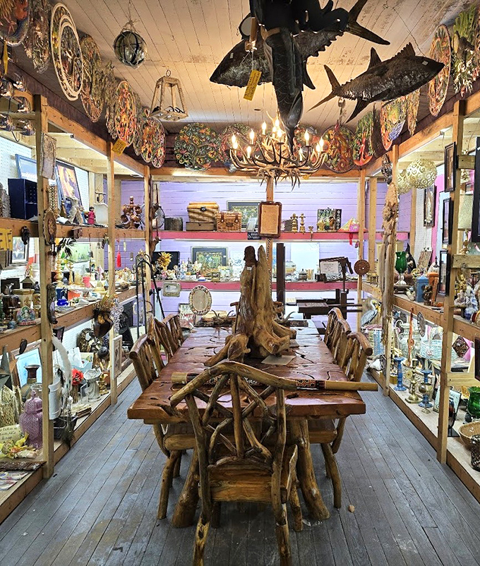 Step inside to discover a treasure trove where handcrafted wooden furniture meets maritime decor in an unexpected symphony of styles.