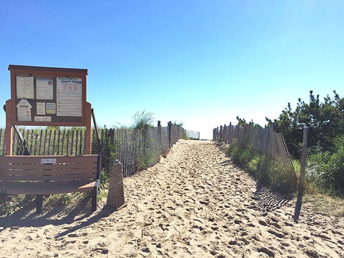 The beach information board stands sentinel, a wooden guardian offering wisdom before your sandy adventure begins.