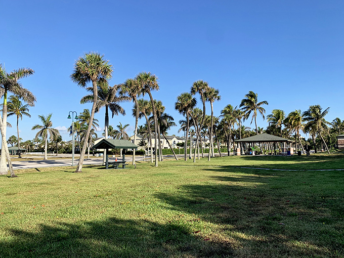 Jaycee Park's palm-lined green spaces offer shaded pavilions perfect for picnics, proving paradise doesn't require admission fees or waiting in lines.