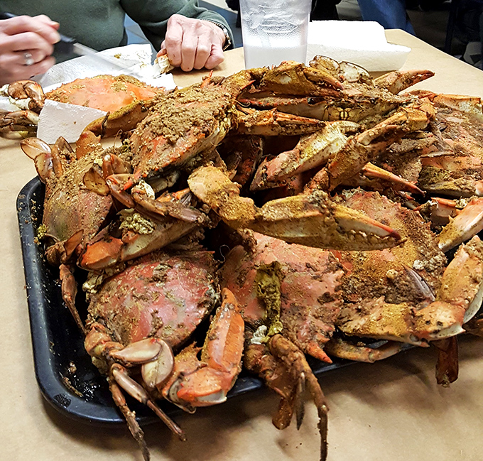 Maryland blue crabs in their full glory&mdash;a mountain of spice-crusted treasures that transform dinner into a delicious archaeological expedition.