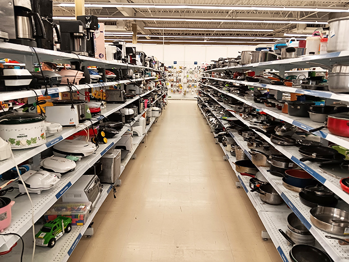 The small appliance aisle: where yesterday's must-have kitchen gadgets find new purpose. Your grandmother's waffle iron has cousins here.