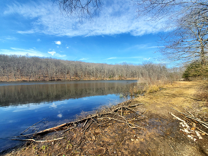 Winter's bare branches frame the glassy stillness of Nescopeck's waters. Even in the off-season, this reflective pool mirrors nature's quiet resilience.