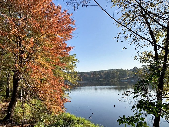 That perfect moment when the autumn trees frame the lake like nature's own masterpiece. No filter needed&mdash;or even possible.