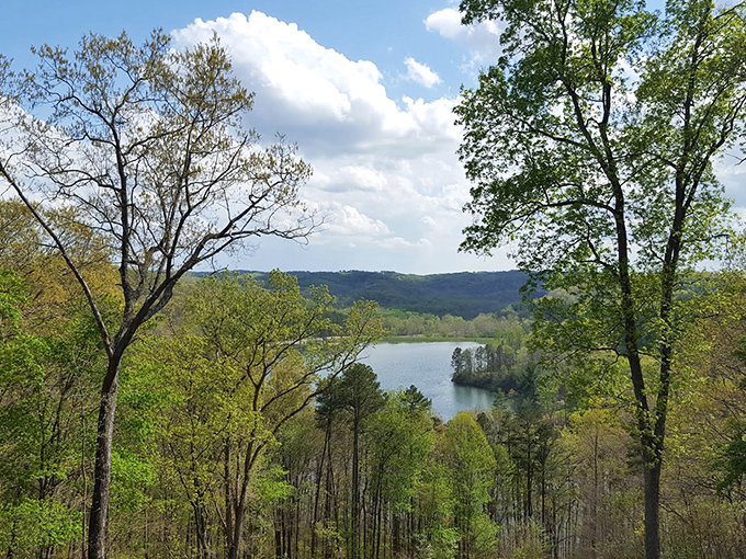 The view that launched a thousand "I'm extending my stay" phone calls to the office. Lake Hope's panorama is worth every missed meeting.