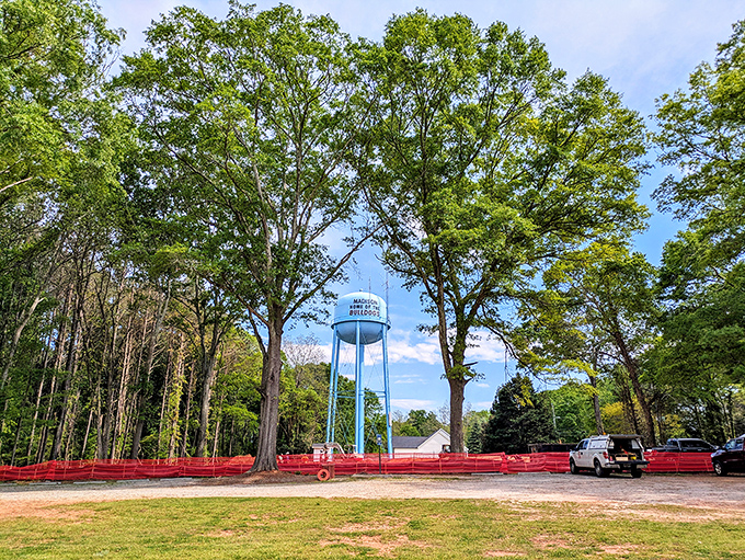 Madison's water tower stands tall and proud, reminding everyone where home is from miles away.