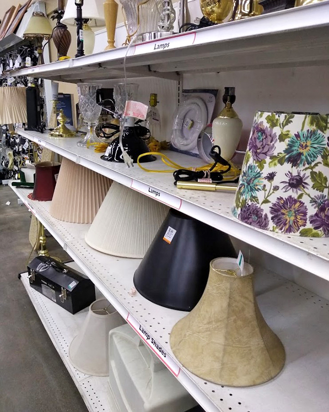 Lampshades in every shape and size stand at attention, each one hoping to be the perfect match for that base you found last week.